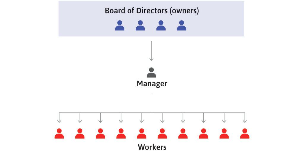 The Economy: Unit 6 The firm: Owners, managers, and employees
