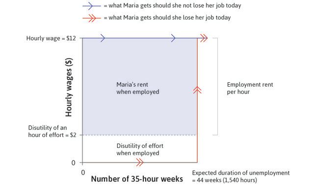 The Economy: Unit 6 The firm: Owners, managers, and employees