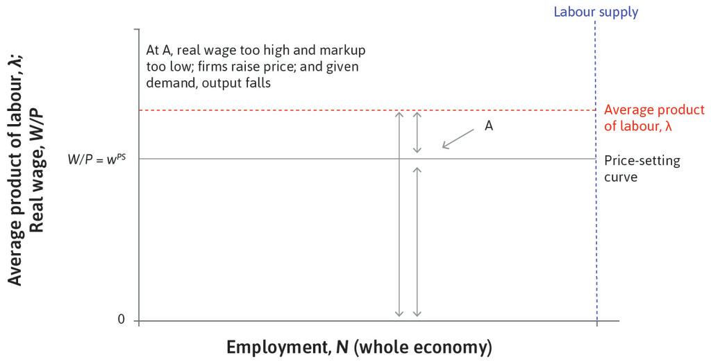 The Economy: Unit 9 The labour market: Wages, profits, and unemployment